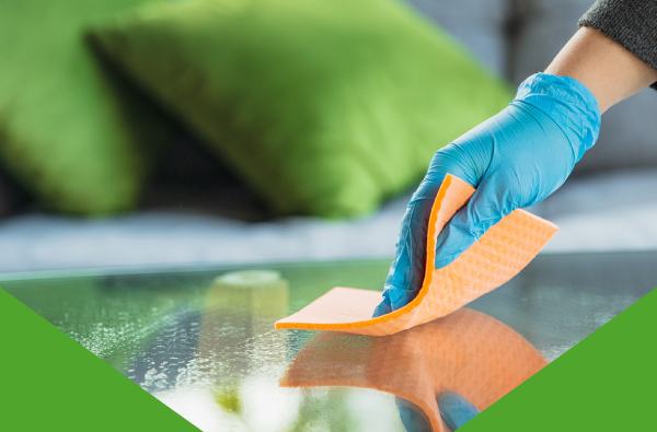 Productos de limpieza ecológicos para un hogar saludable – Packlife