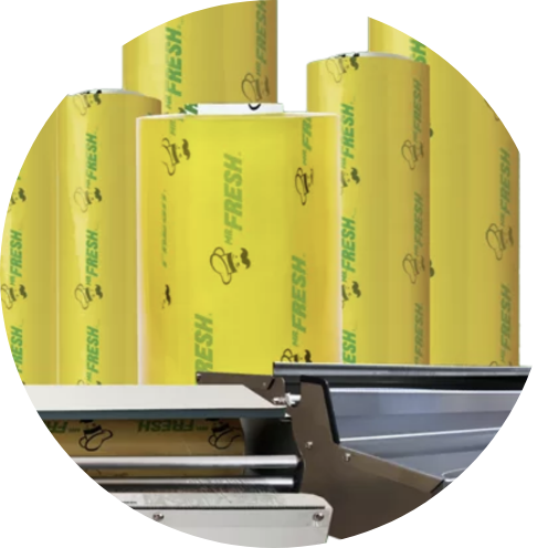 Conócenos – Packlife